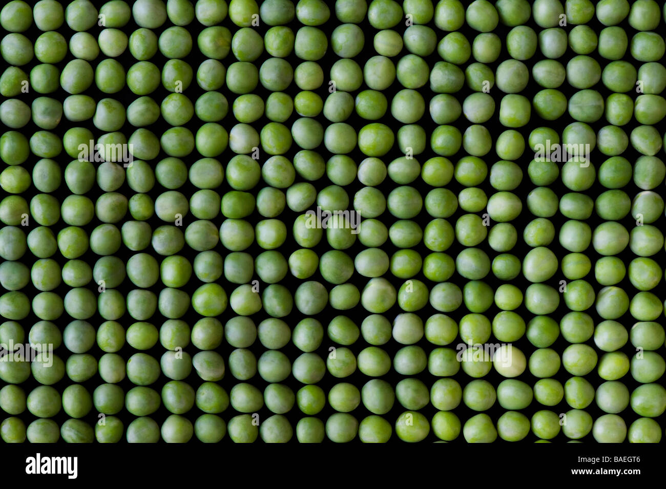 Peas pattern Banque de photographies et d’images à haute résolution - Alamy