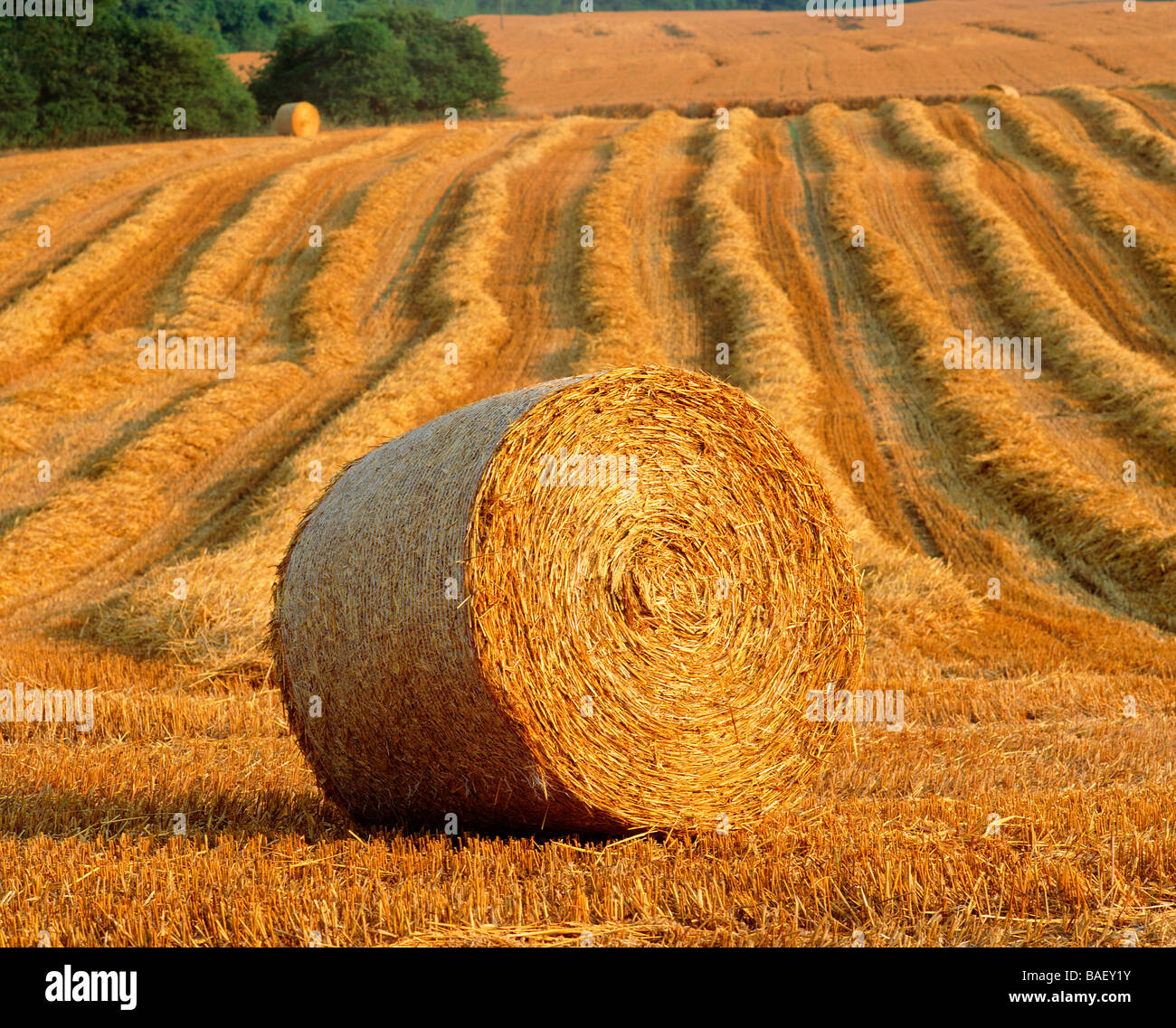 Alkham valley Banque de photographies et d’images à haute résolution ...