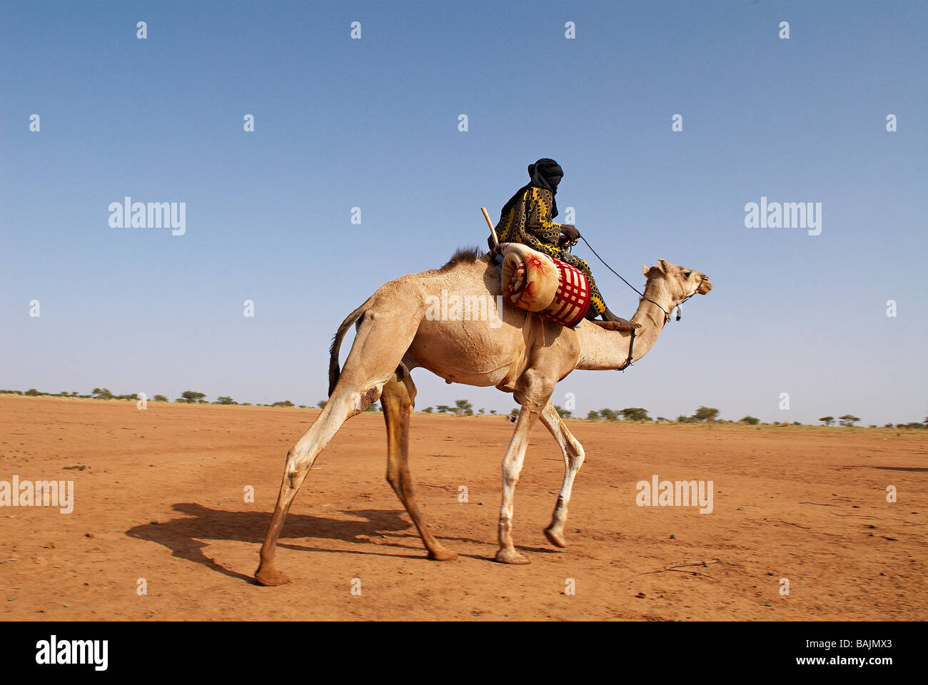 Tahoua region Banque de photographies et d’images à haute résolution ...