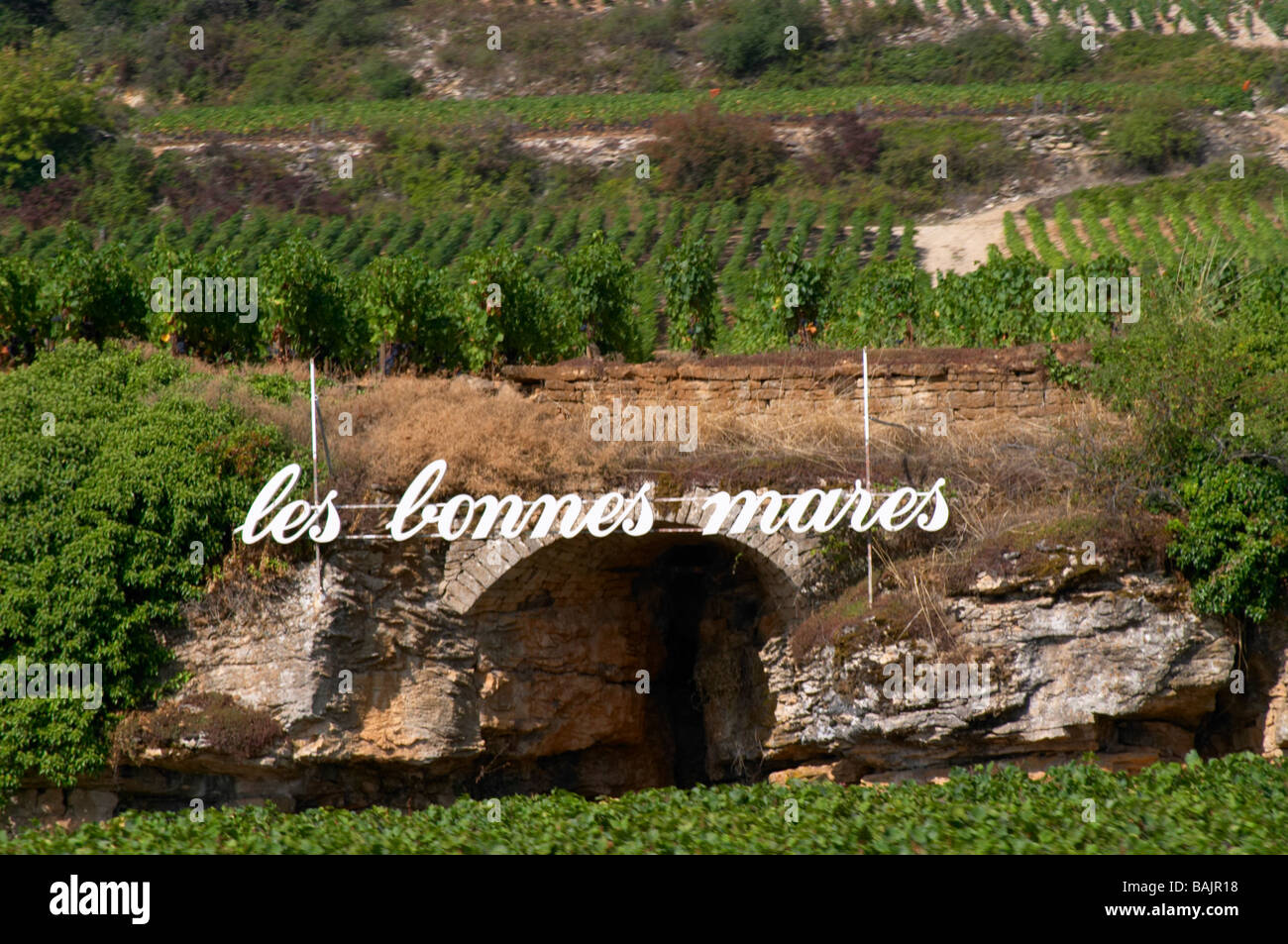 Bon mares grand cru signe vignoble Banque de photographies et d’images ...