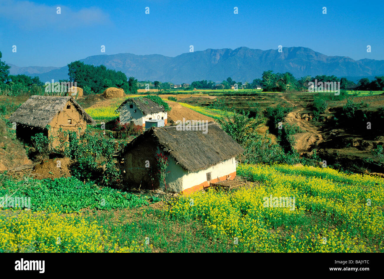 Terai region Banque de photographies et d’images à haute résolution - Alamy