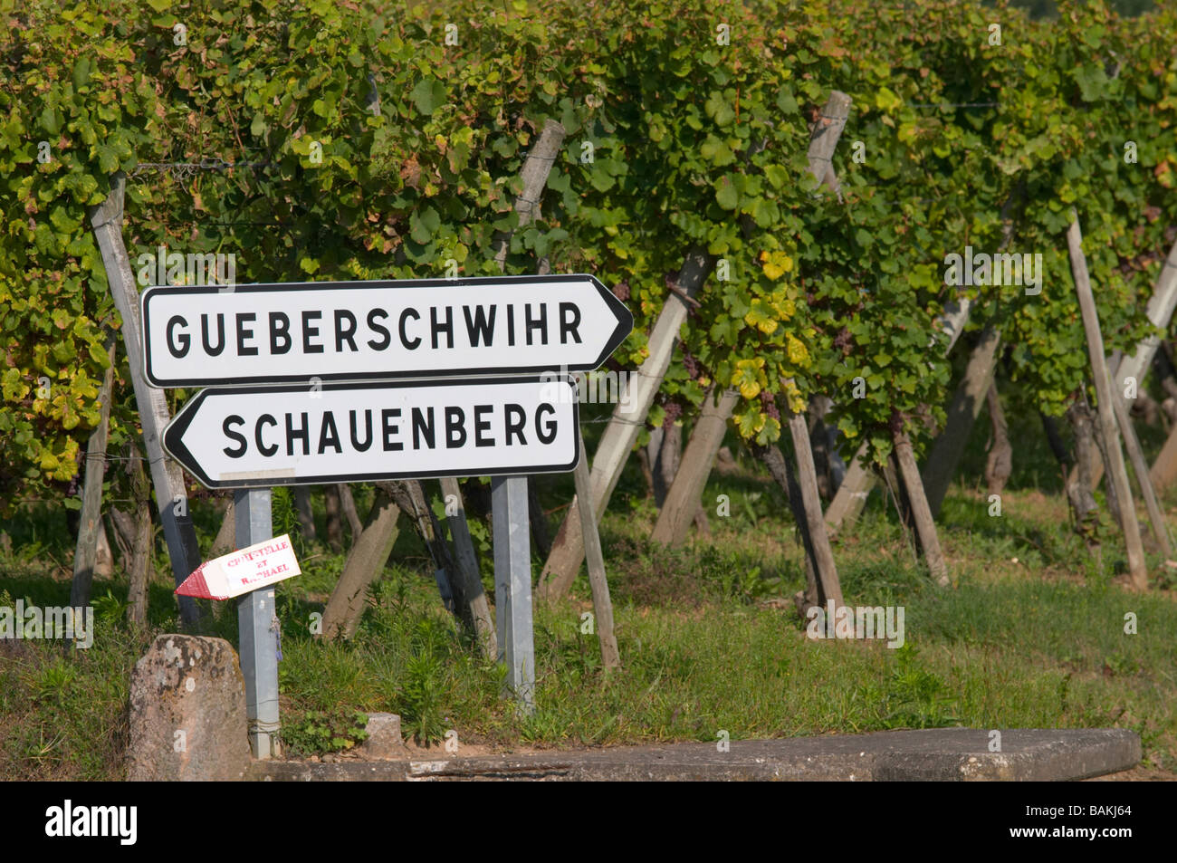 Panneau de signalisation et vignoble Banque de photographies et d ...
