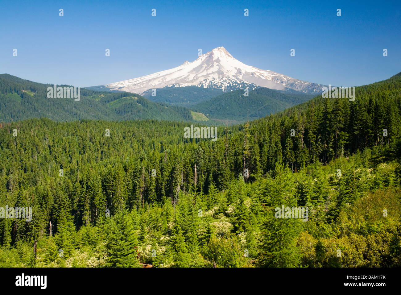 Parc national du mont hood Banque de photographies et d’images à haute résolution - Alamy