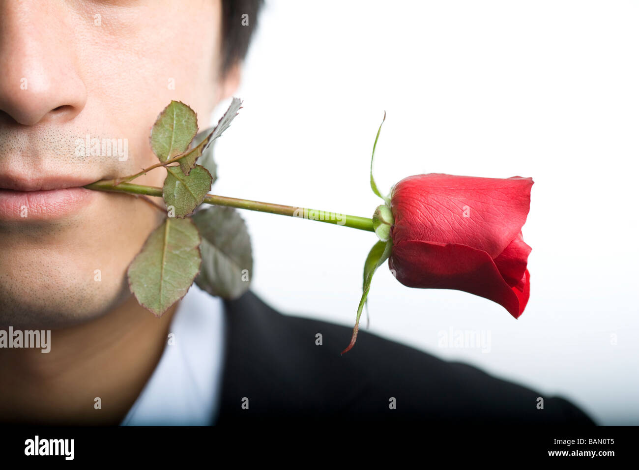 Rose dans les dents Banque de photographies et d’images à haute ...