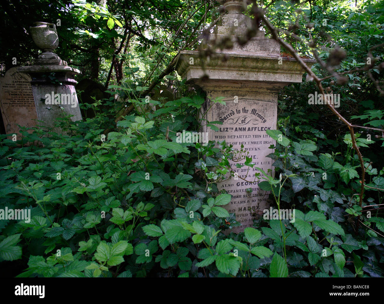 Abney park cemetery Banque de photographies et d’images à haute ...