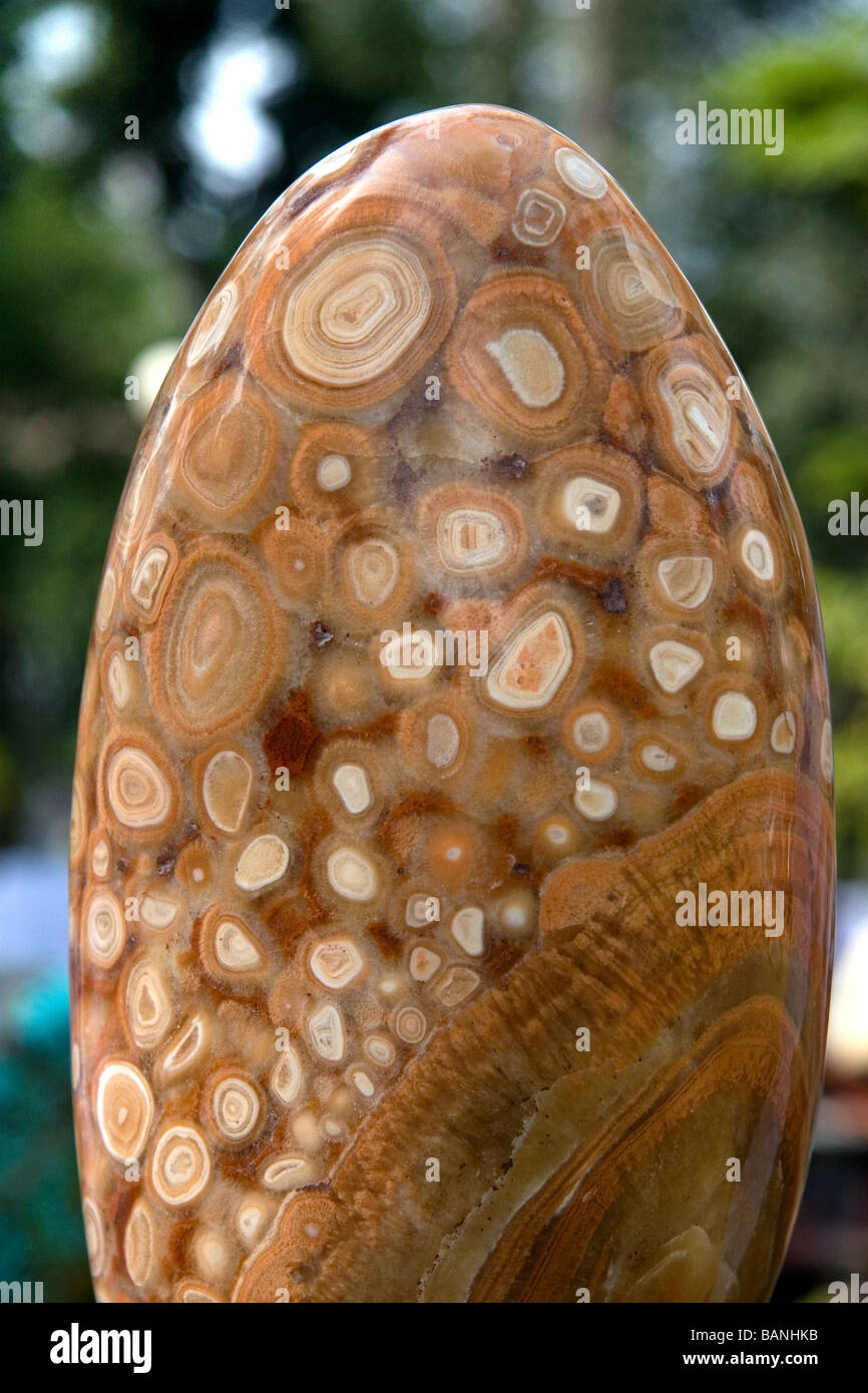 Sedimentary rock Banque de photographies et d’images à haute résolution ...