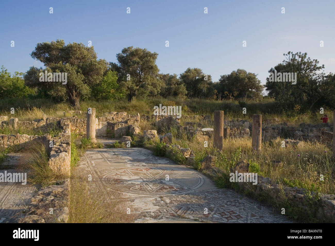 Agia Trias avec sol en mosaïque, Basilique ruines, Erenkoy, Gialousa ...
