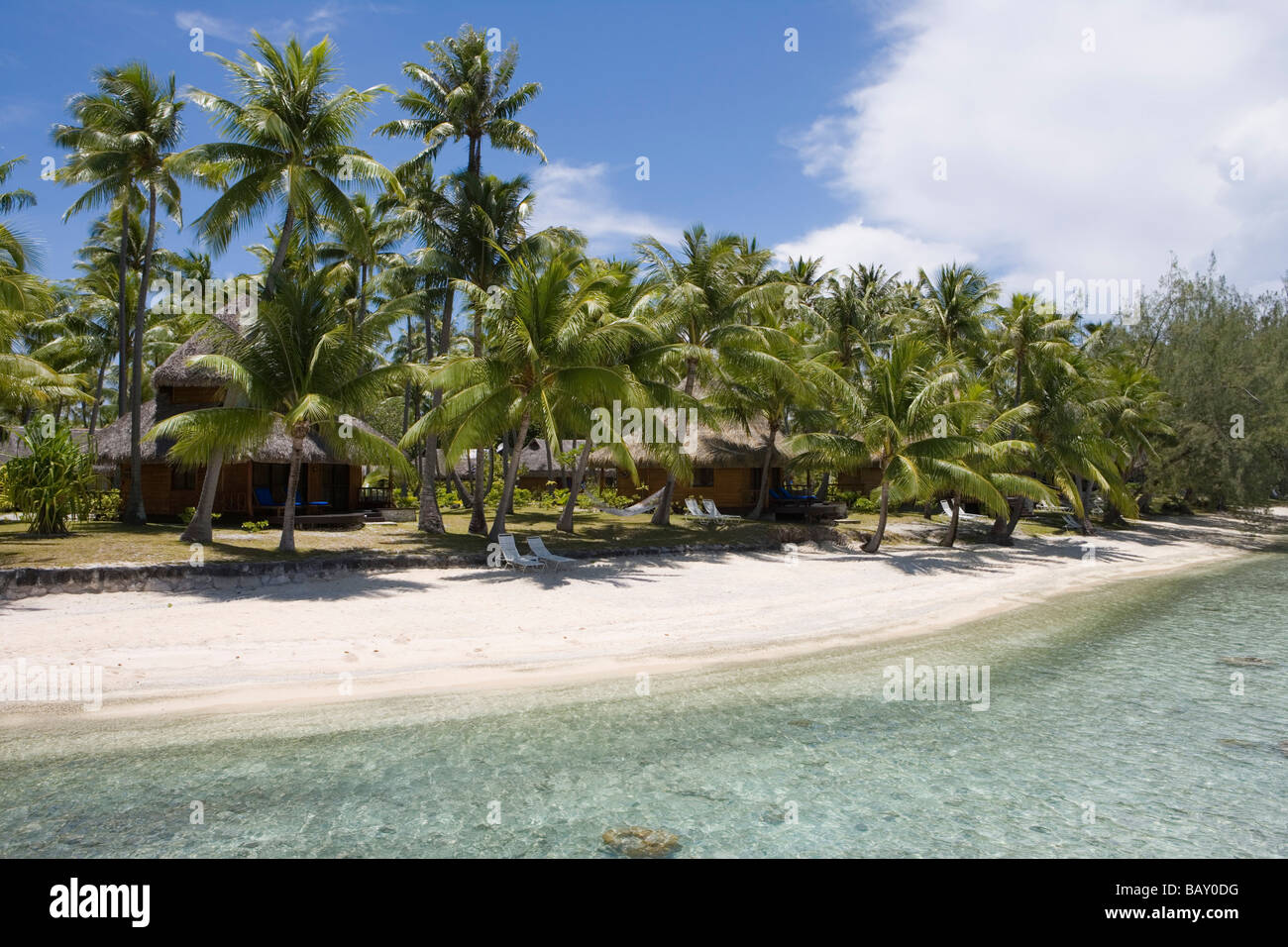 Cocotiers sur la plage de l'hôtel Kia Ora, Avatoru, Rangiroa, aux ...