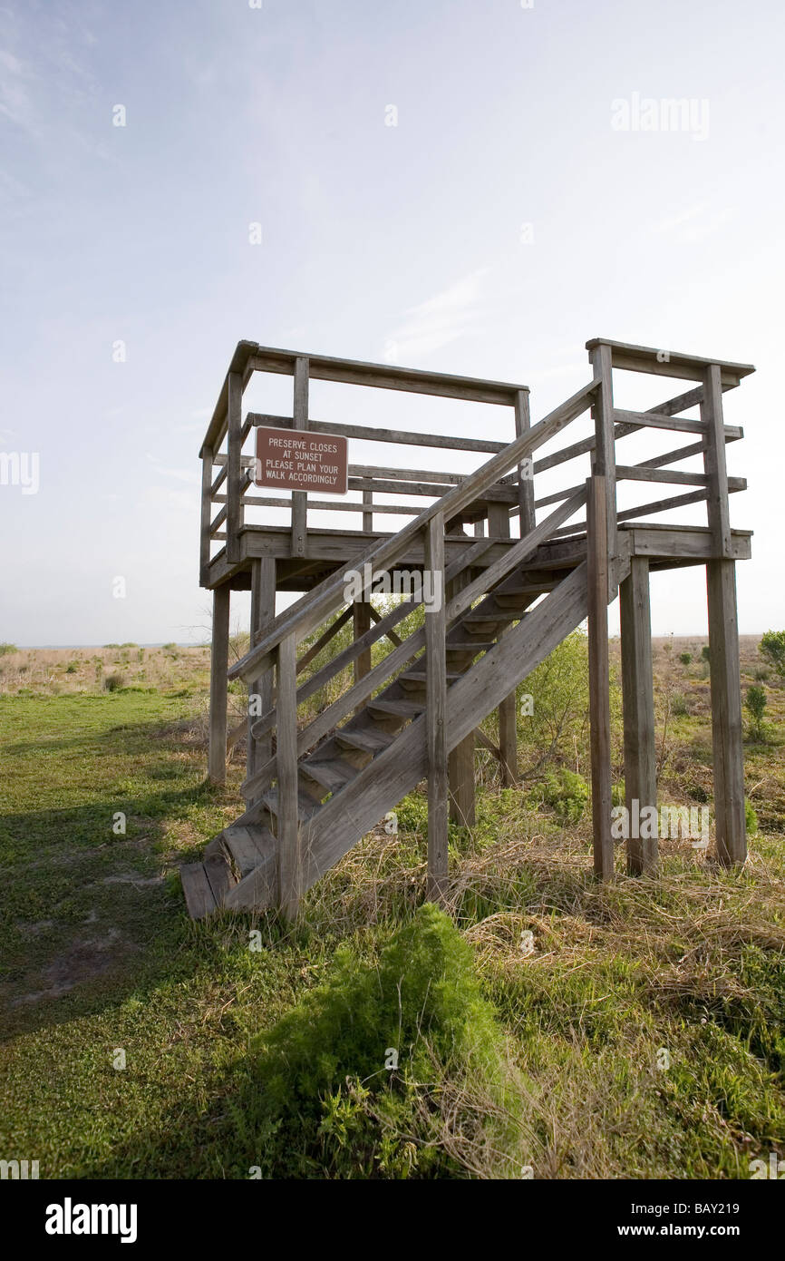Bolen Bluff Trail Tour d'observation à Paynes Prairie Preserve State Park Photo Stock - Alamy