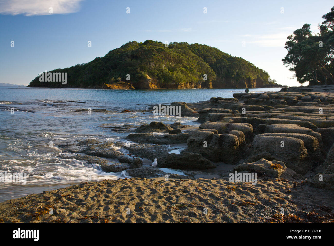 Goat island Banque de photographies et d’images à haute résolution - Alamy