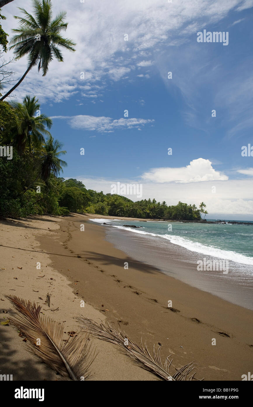 Le littoral de sable fin et de la jungle de la péninsule d'Osa le long ...