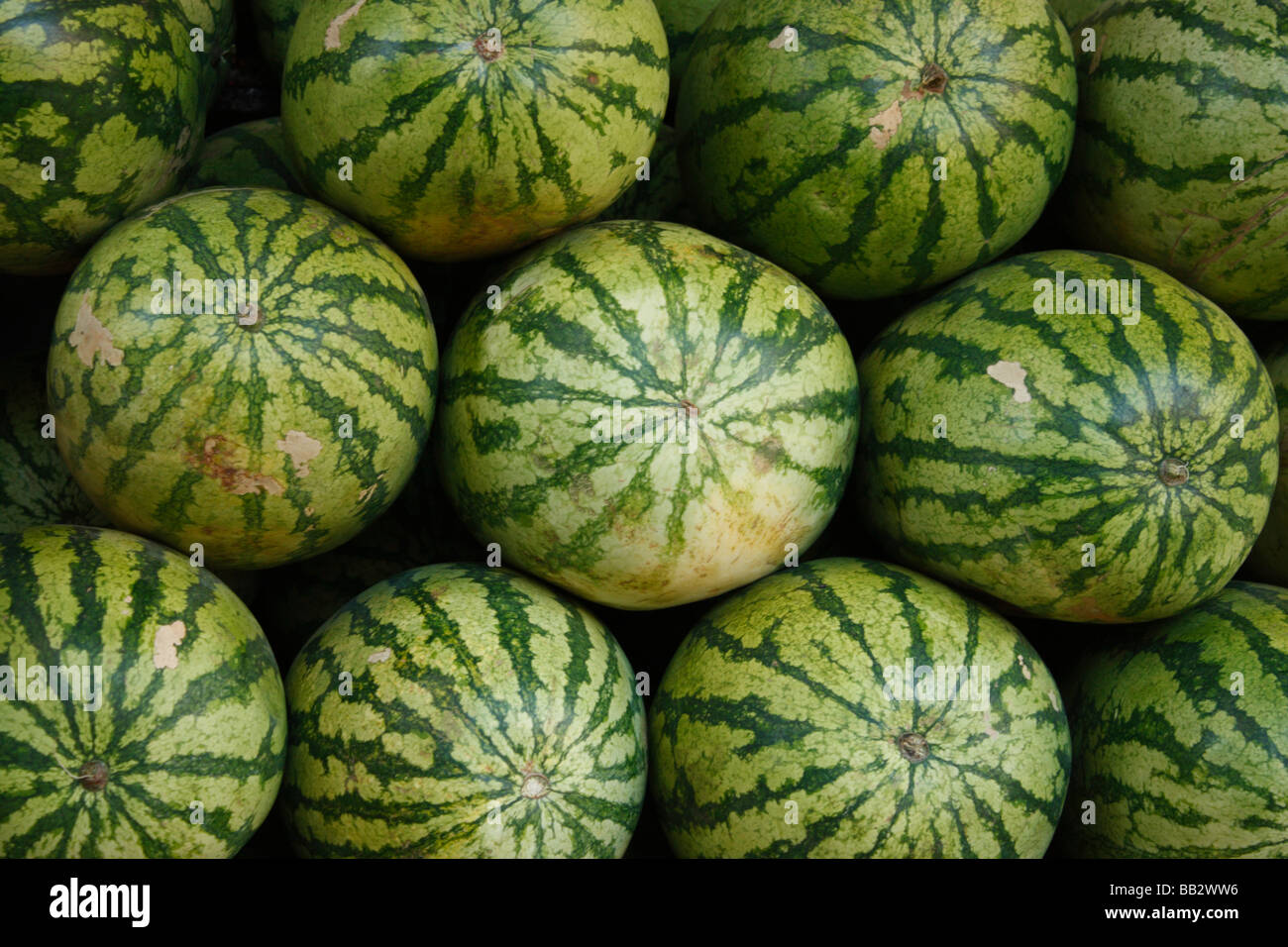 Oval fruit Banque de photographies et d’images à haute résolution - Alamy