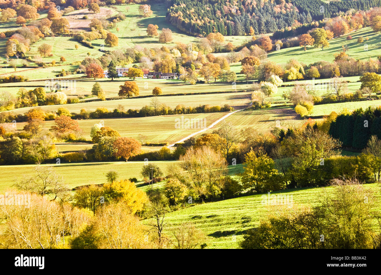 Paysage de campagne d'automne Banque de photographies et d’images à ...