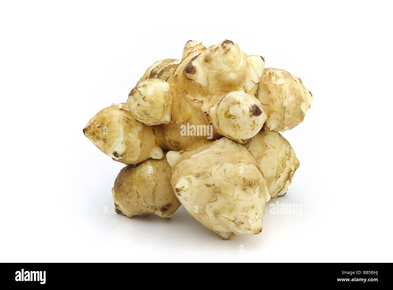 Topinambur helianthus tuberosus Banque de photographies et d’images à ...