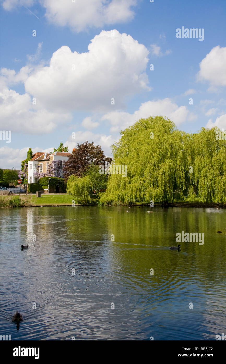 Étang sur Ham Common Richmond upon Thames Surrey England Photo Stock ...