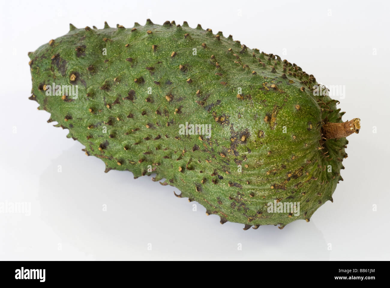 Le corossol Banque de photographies et d’images à haute résolution - Alamy