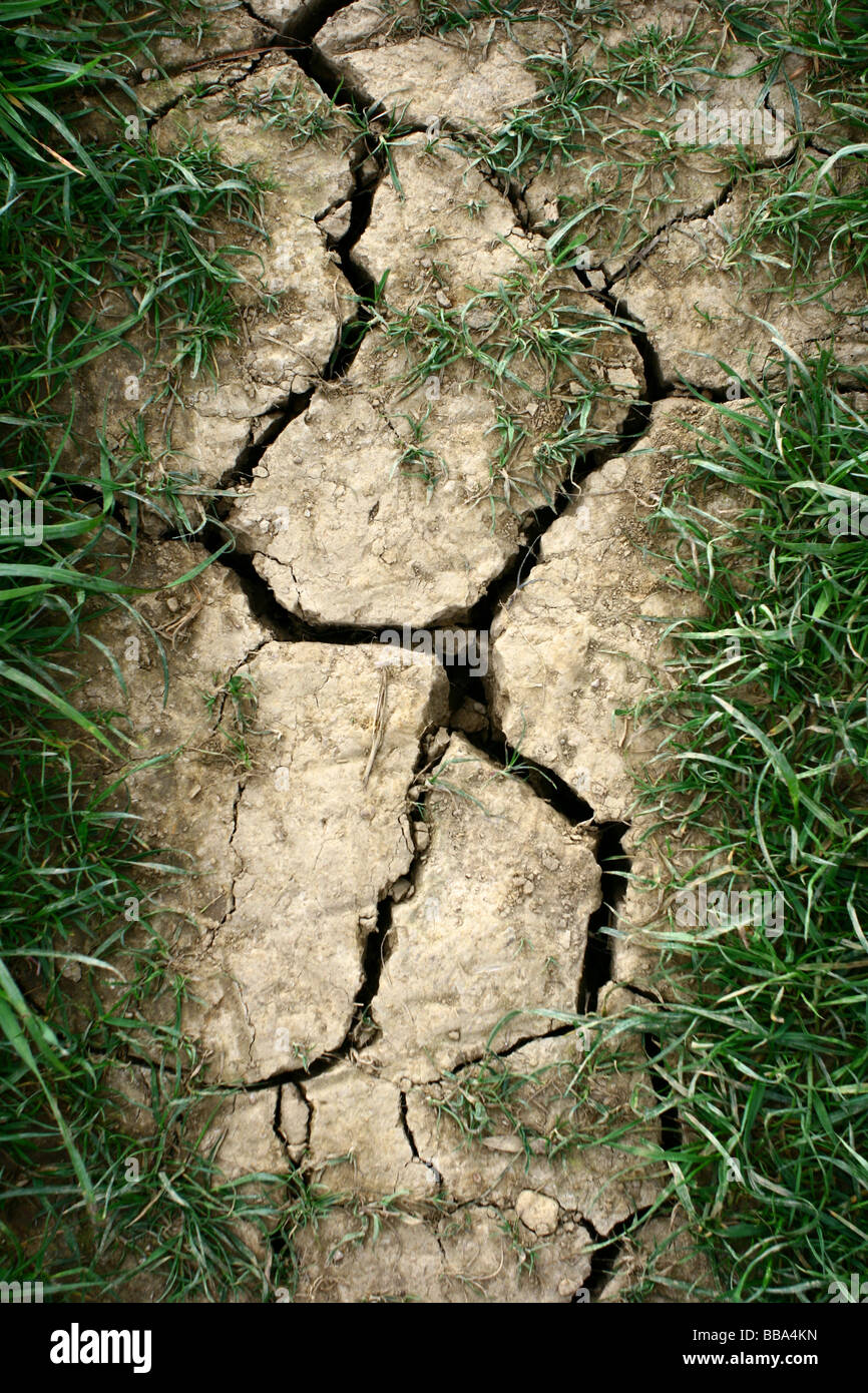 Fissure au sol Banque de photographies et d’images à haute résolution ...