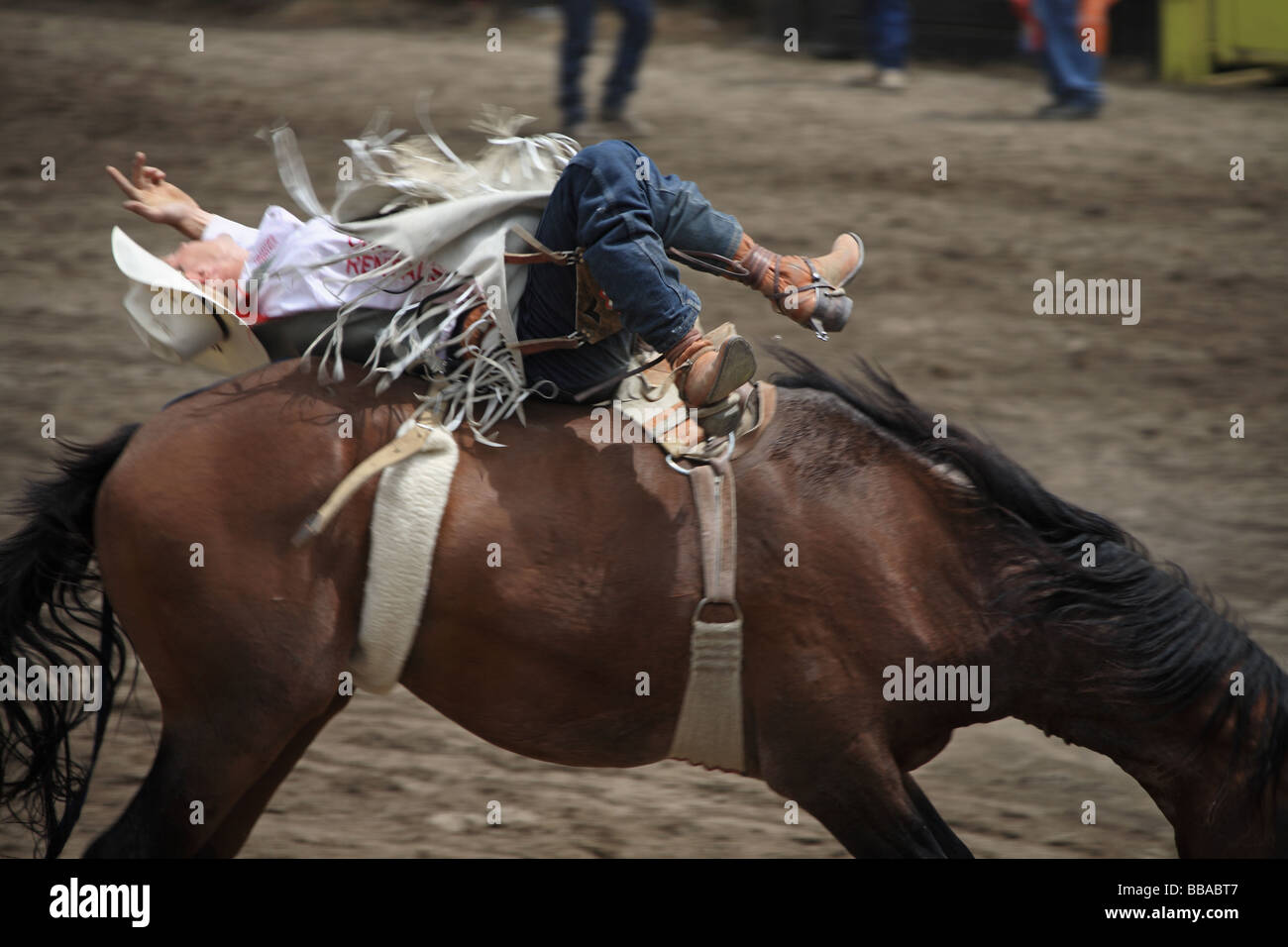 Cowboy avec son cheval qui court Banque de photographies et d’images à ...