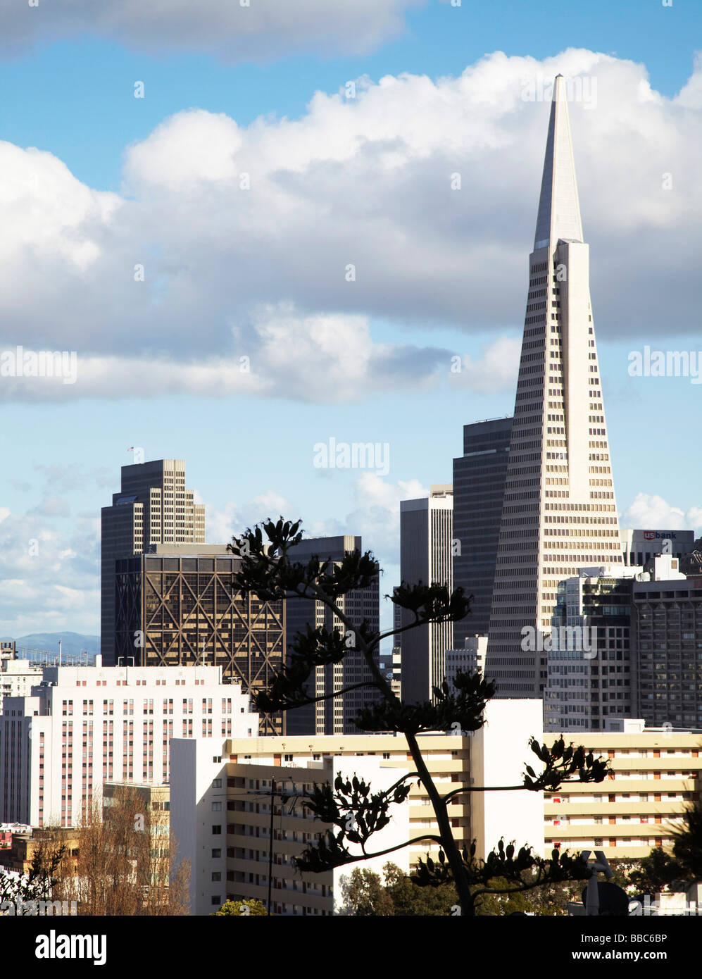 Edificio de la pirámide de trans america Banque de photographies et d ...