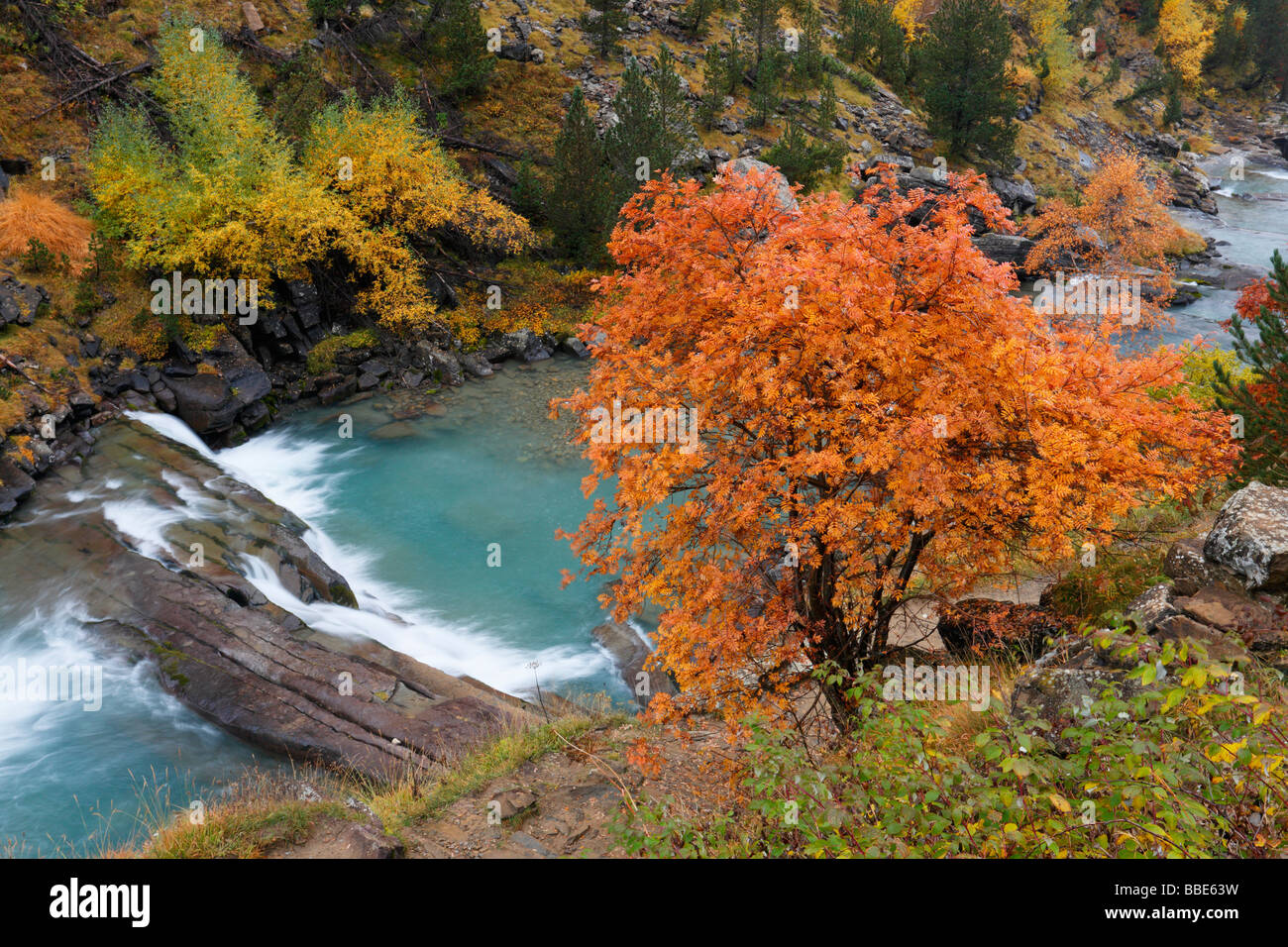 Gradas De Soaso Banque d'image et photos - Alamy