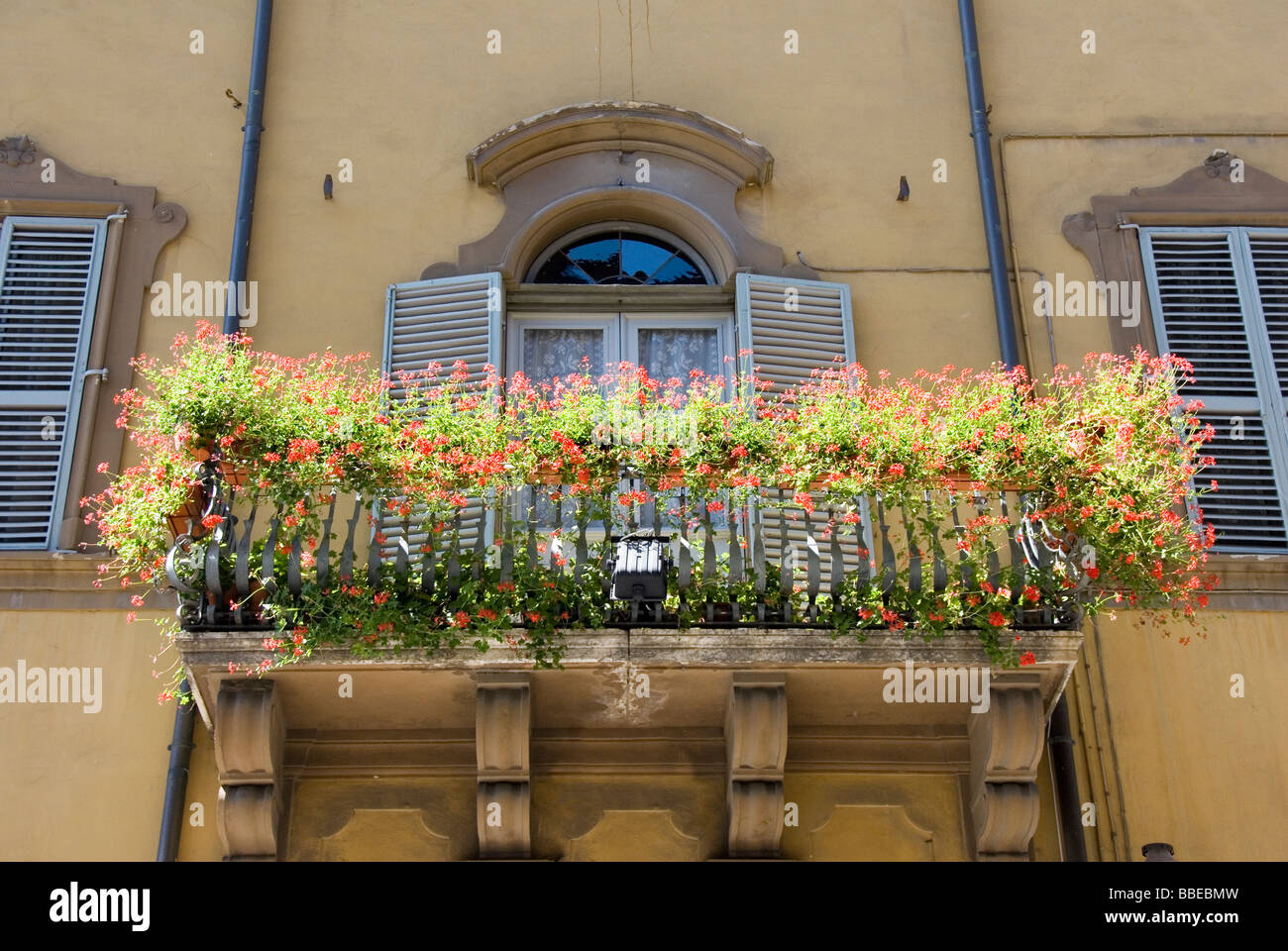 Un balcon avec des jardinières en terre cuite de géraniums rouge Photo ...