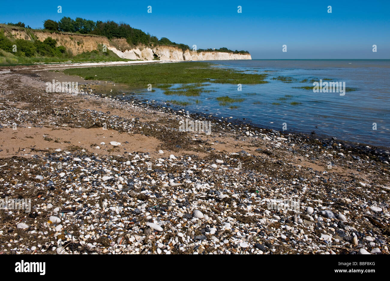Pegwell bay Banque de photographies et d’images à haute résolution - Alamy