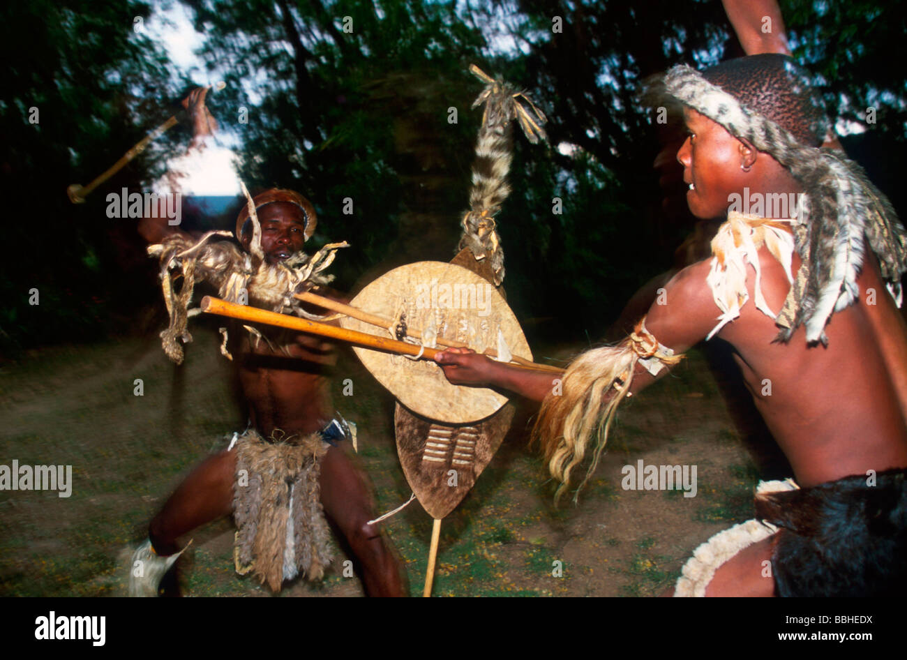 Zulu wearing traditional Banque de photographies et d’images à haute ...