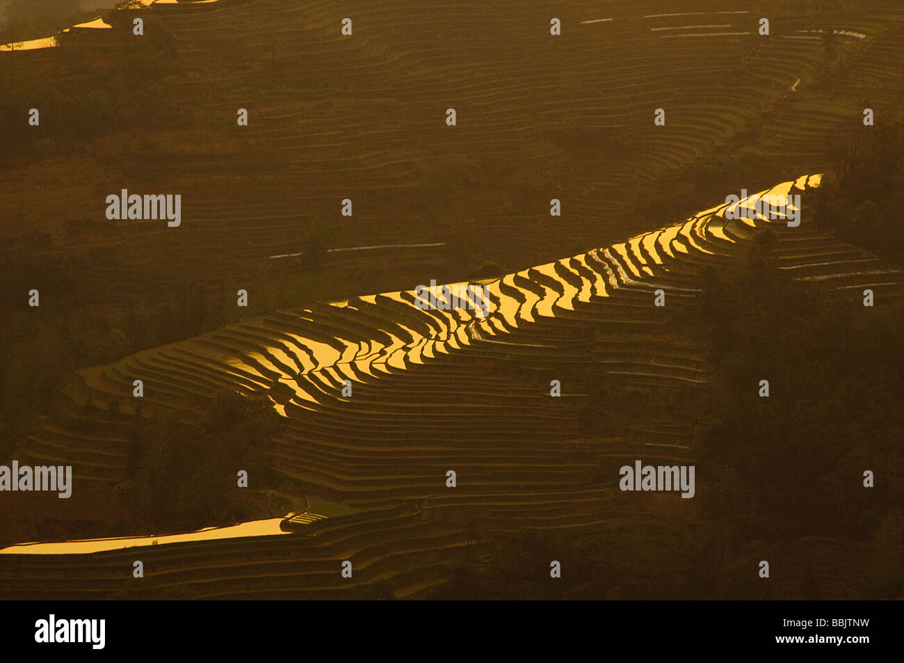 Magnifique coucher de soleil sur la bouche de tigre des terrasses de ...
