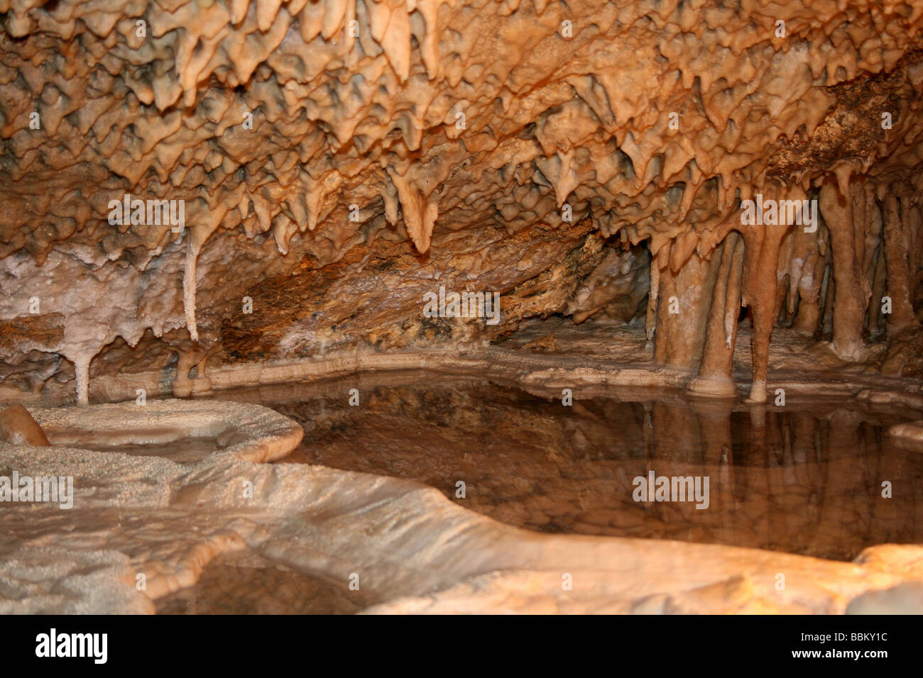 Grottes cavernicoles Banque de photographies et d’images à haute ...