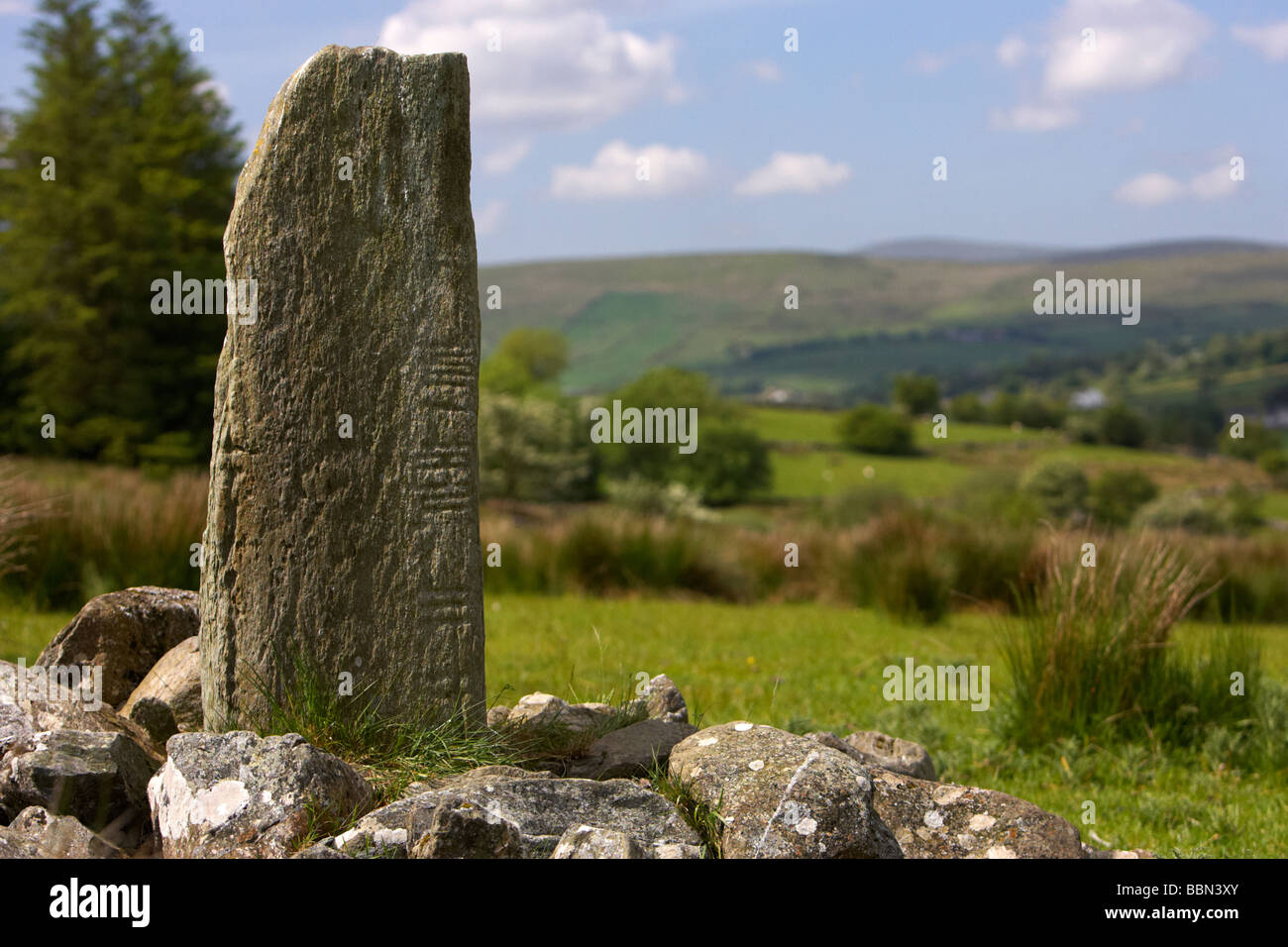 Script ogham Banque de photographies et d’images à haute résolution - Alamy