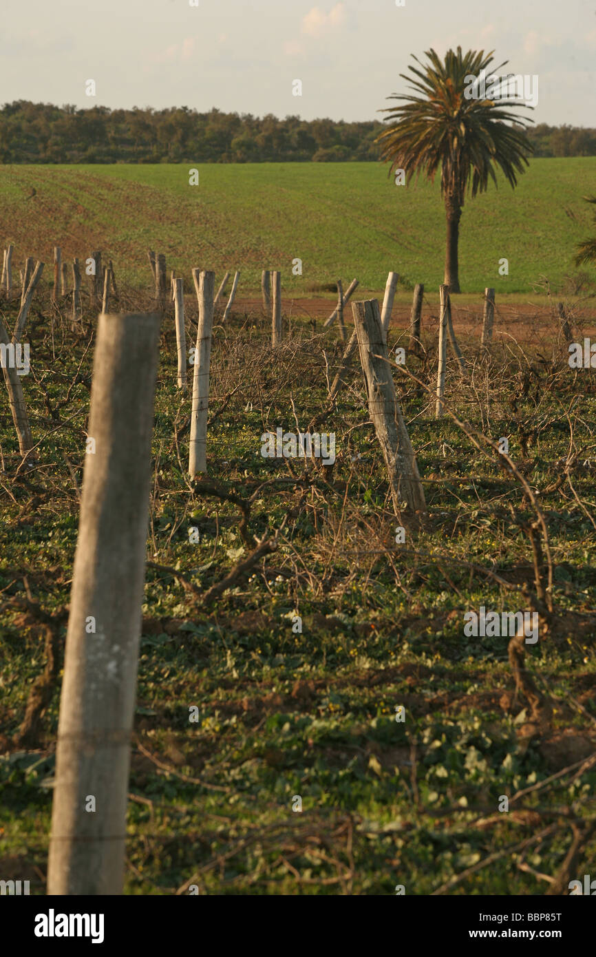 Benslimane maroc Banque de photographies et d’images à haute résolution ...