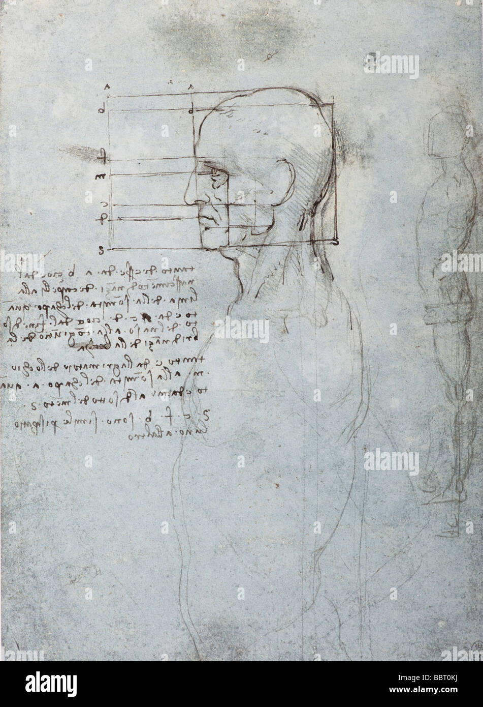 Étude des proportions de la tête et le corps de Léonard de Vinci Photo ...