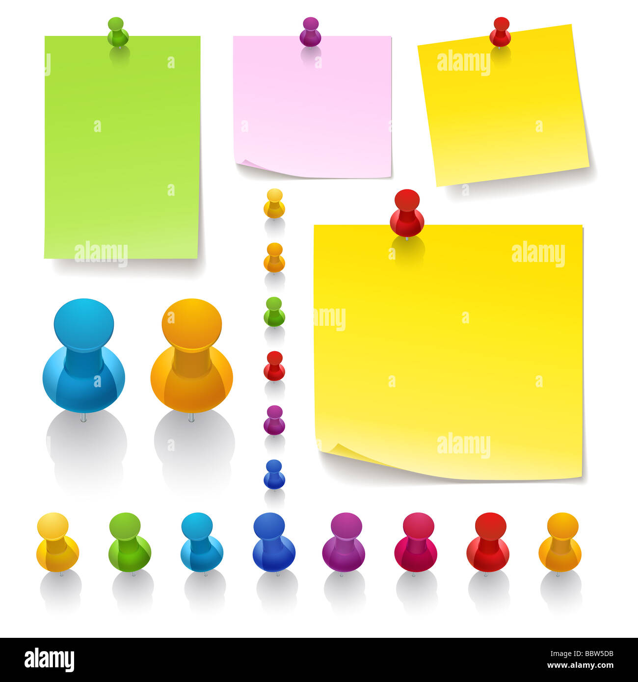 Punaises jaunes Banque de photographies et d’images à haute résolution ...