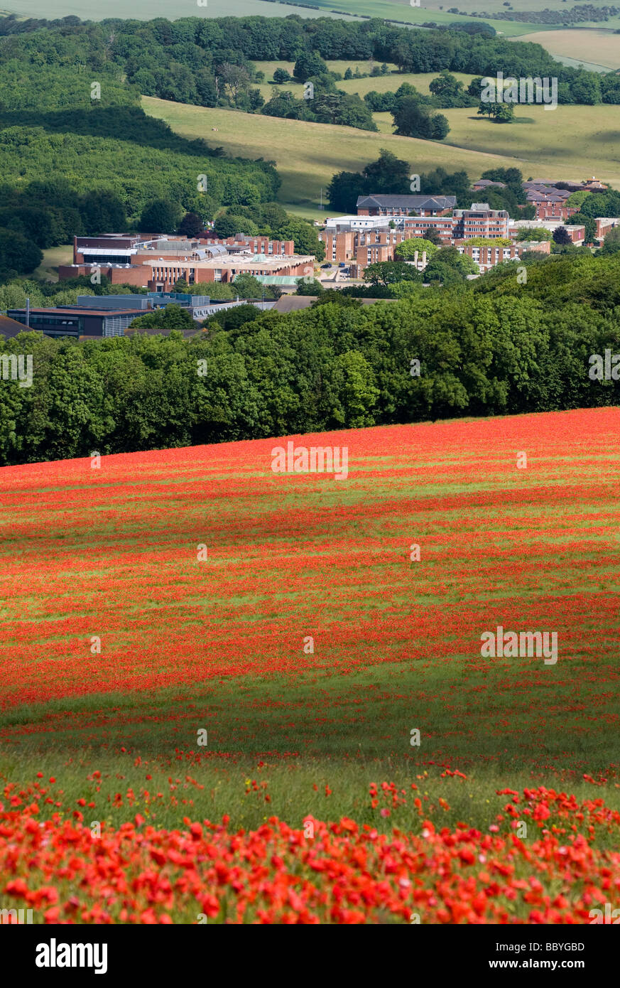 Falmer sussex Banque de photographies et d’images à haute résolution ...