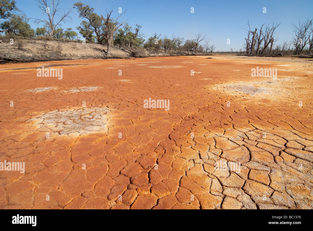 Les zones humides de sulfate acide acidifié par les sols Photo Stock ...