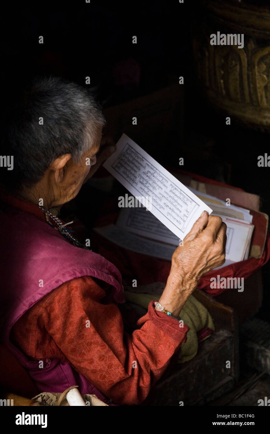 Heru kai Banque de photographies et d’images à haute résolution - Alamy