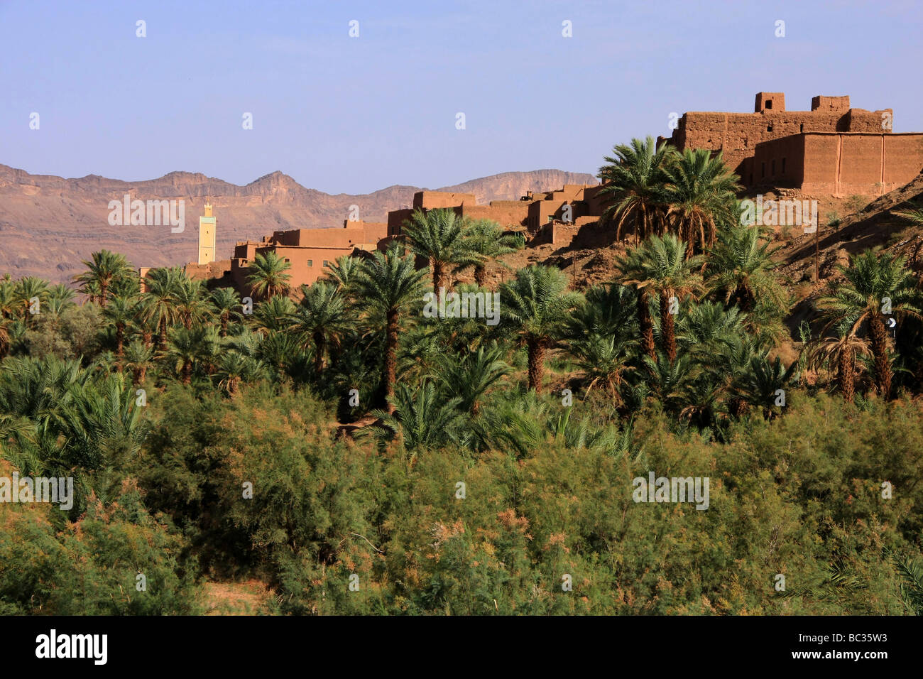 Morocco zagora palm grove Banque de photographies et d’images à haute ...