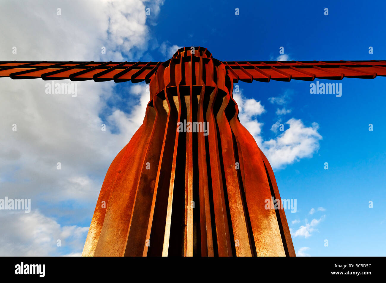 Ange du nord Banque de photographies et d’images à haute résolution - Alamy