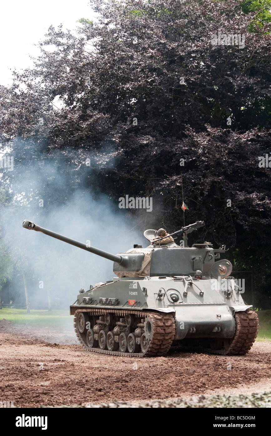 Sherman firefly Banque de photographies et d’images à haute résolution ...