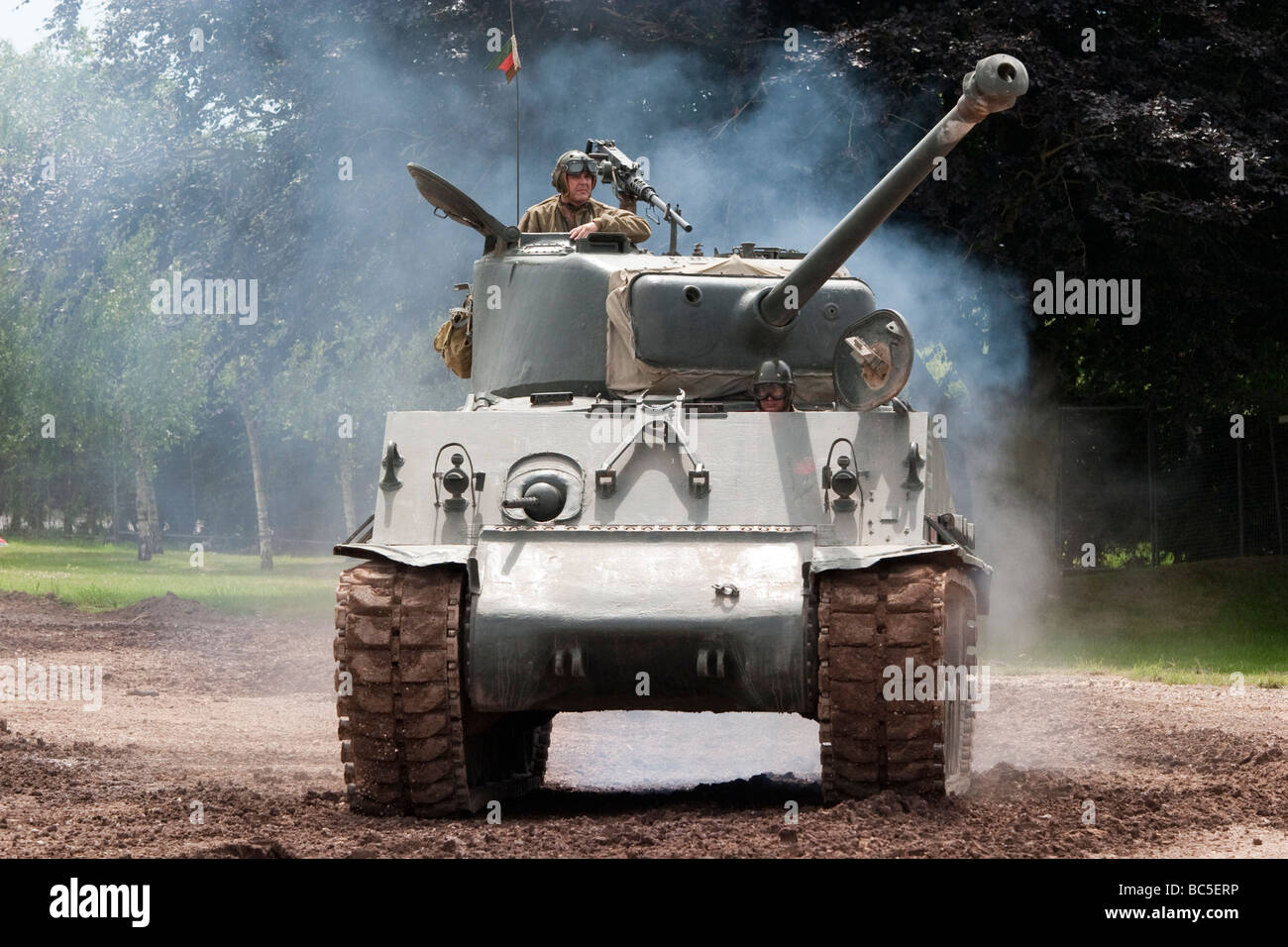 Sherman firefly Banque de photographies et d’images à haute résolution ...