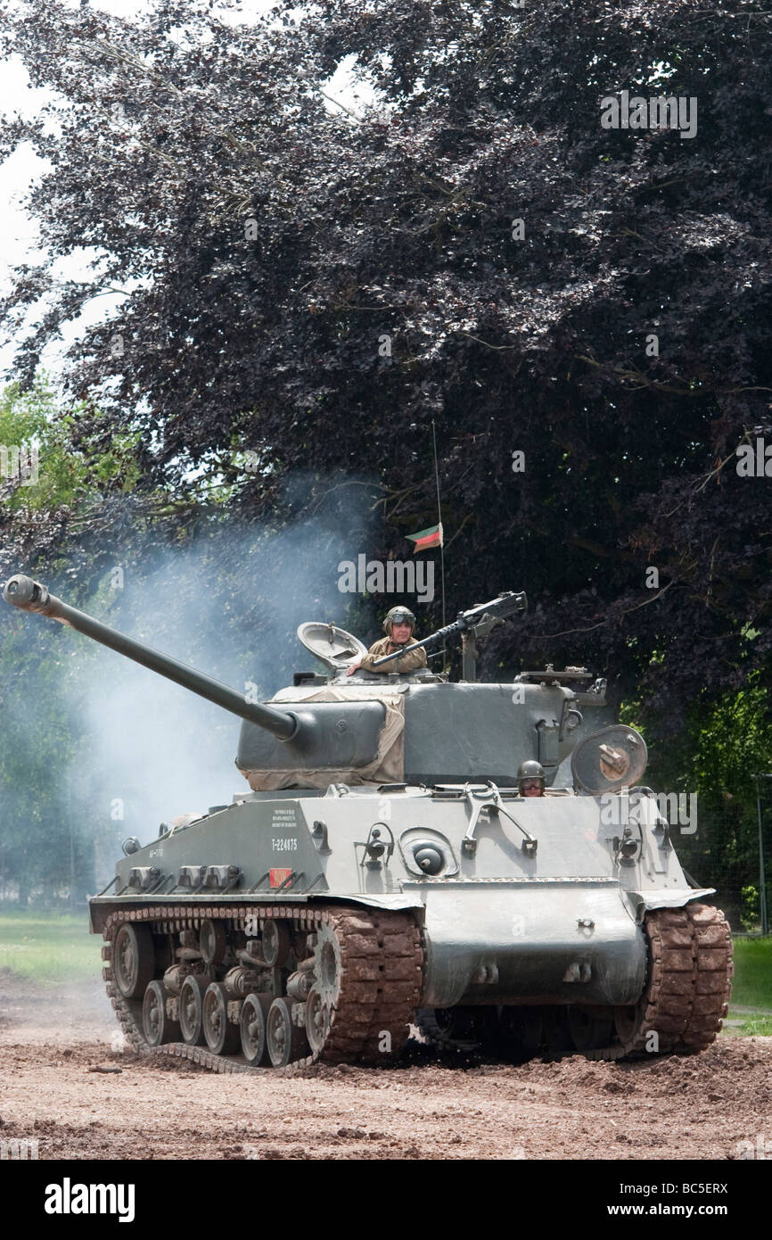 Sherman firefly Banque de photographies et d’images à haute résolution ...