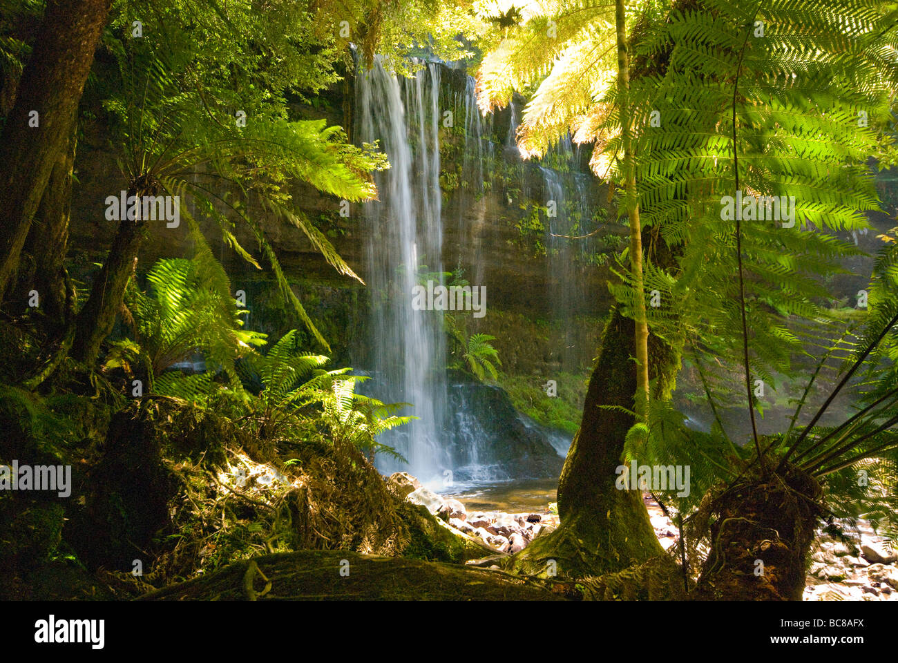 Mount field nationalpark Banque de photographies et d’images à haute ...