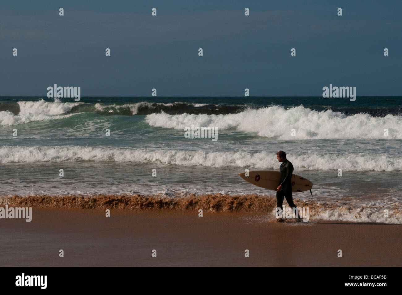 Sydney surfeur Banque de photographies et d’images à haute résolution ...