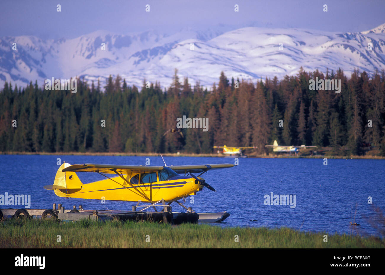 Beluga lake Banque de photographies et d’images à haute résolution - Alamy