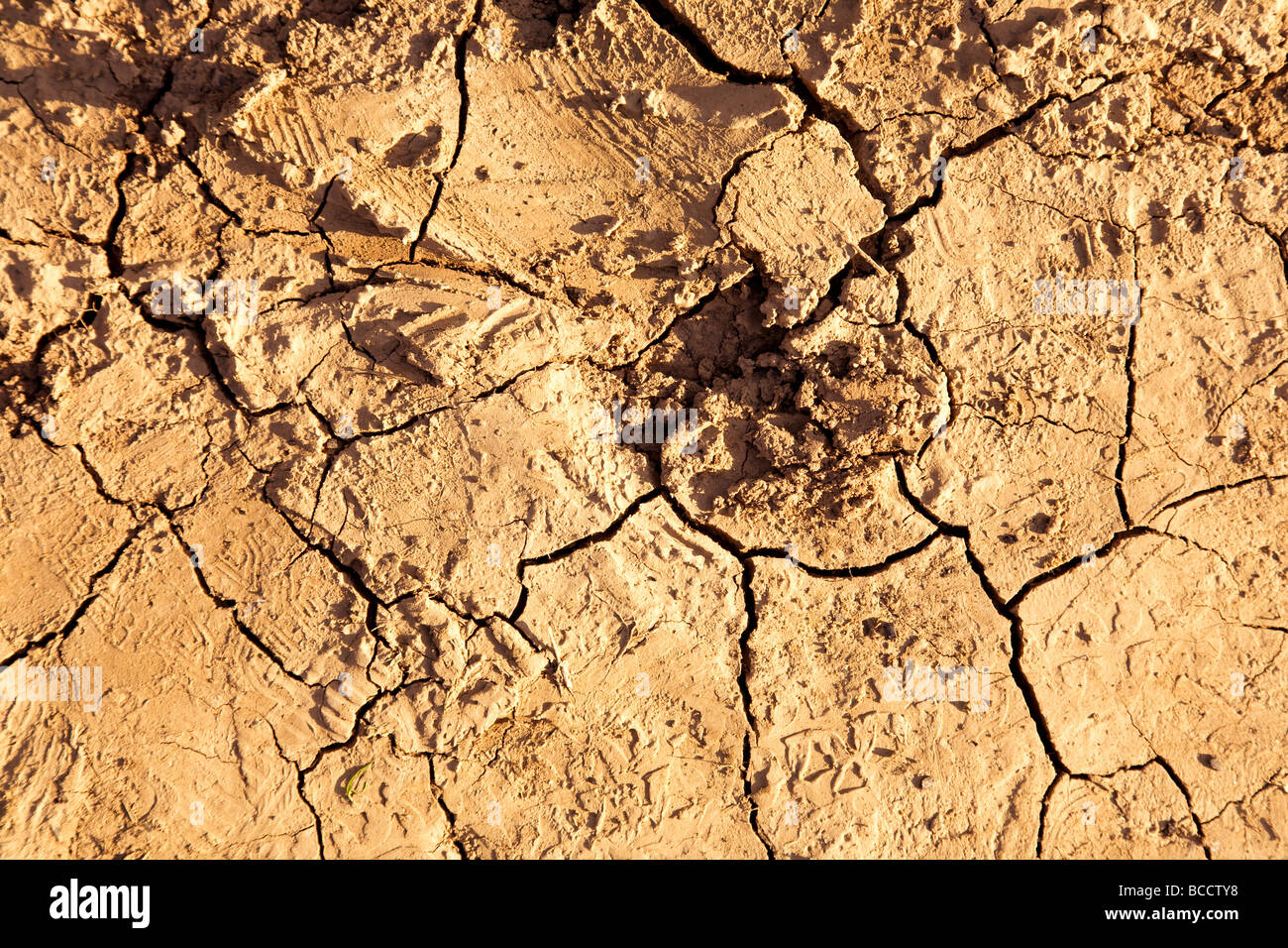 Fissures sur le terrain Banque de photographies et d’images à haute ...