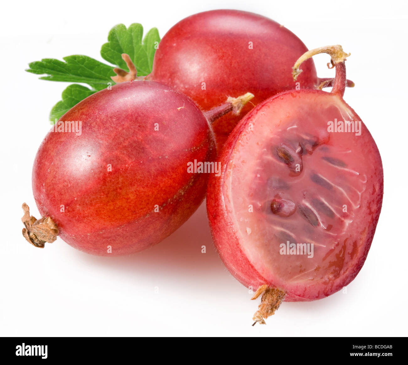 Feuille de groseiller Banque de photographies et d’images à haute ...