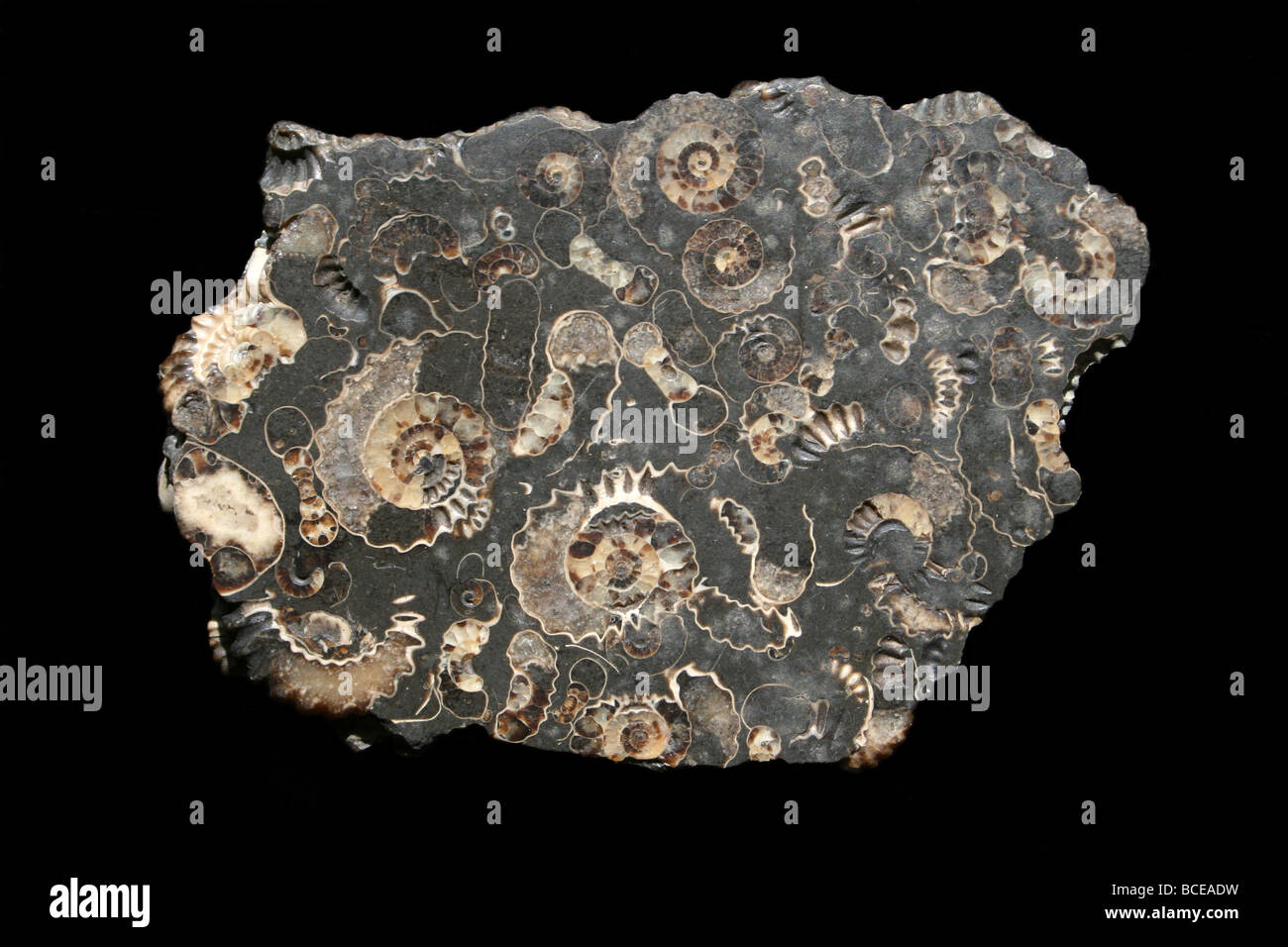 Marston magna angleterre Banque de photographies et d’images à haute ...