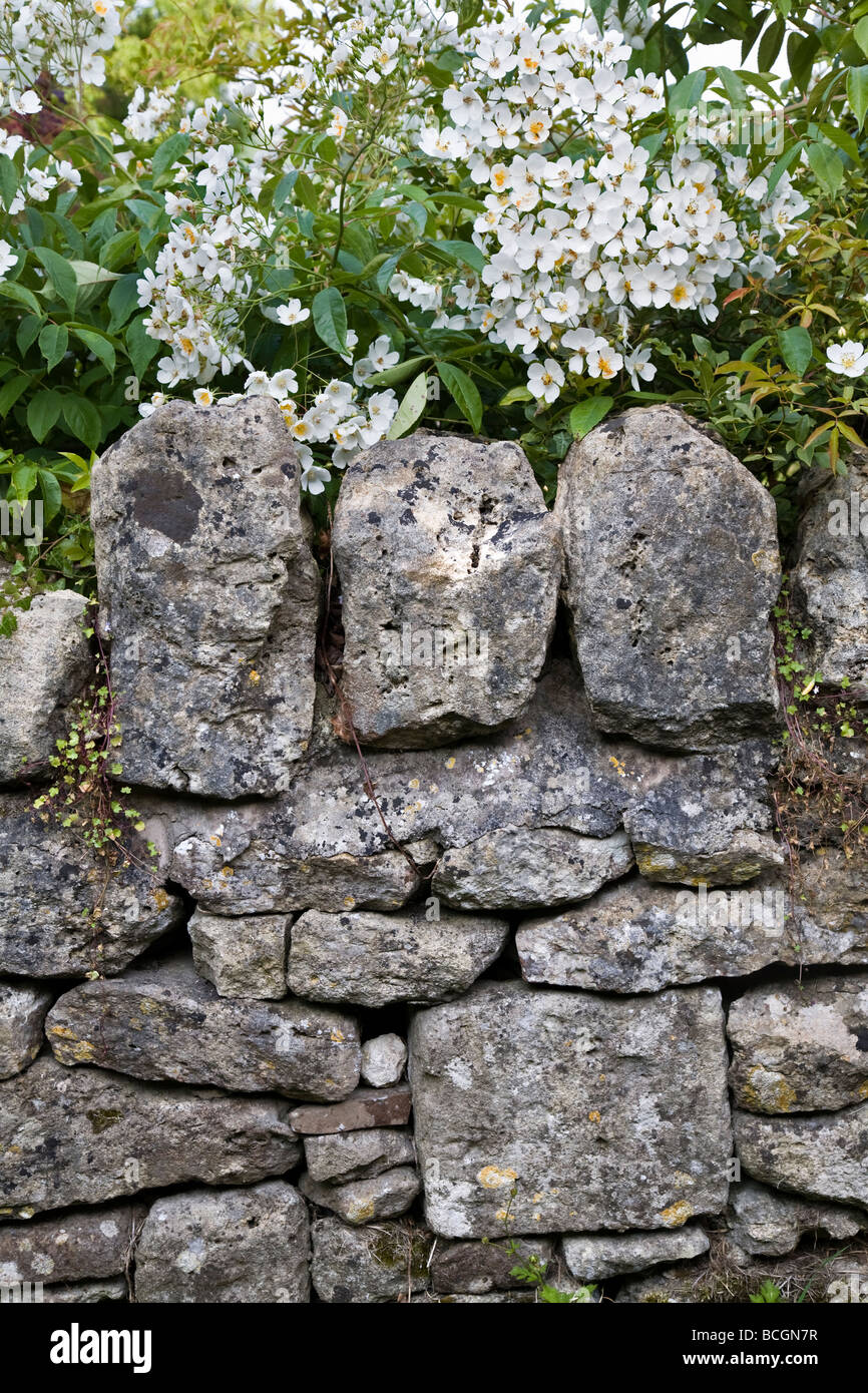 Mur en pierre sèche TRADITIONNELLE MAIS AVEC DES PIERRES RECOUVERTES DE ...