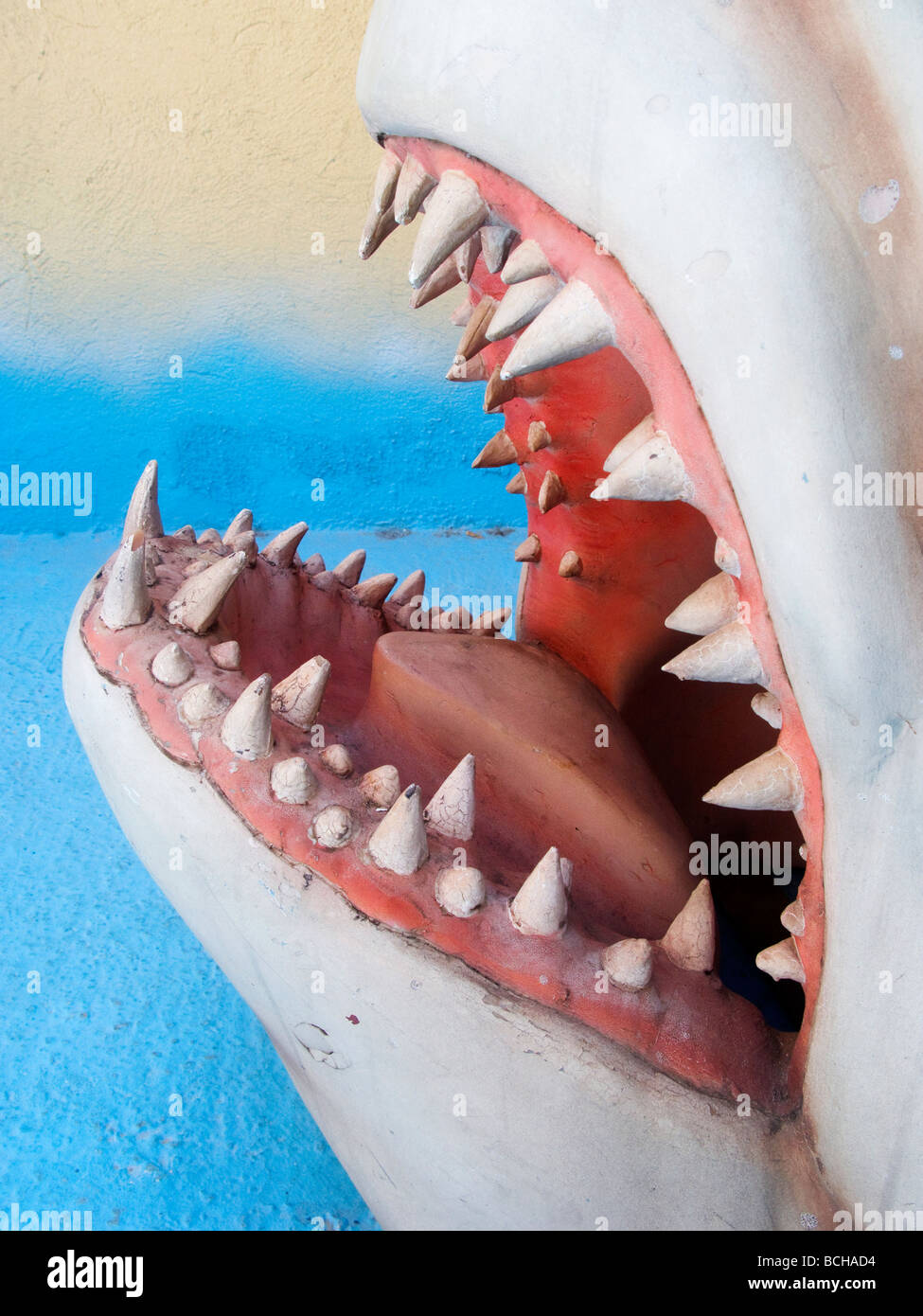 Requin à gueule ouverte Banque de photographies et d’images à haute ...