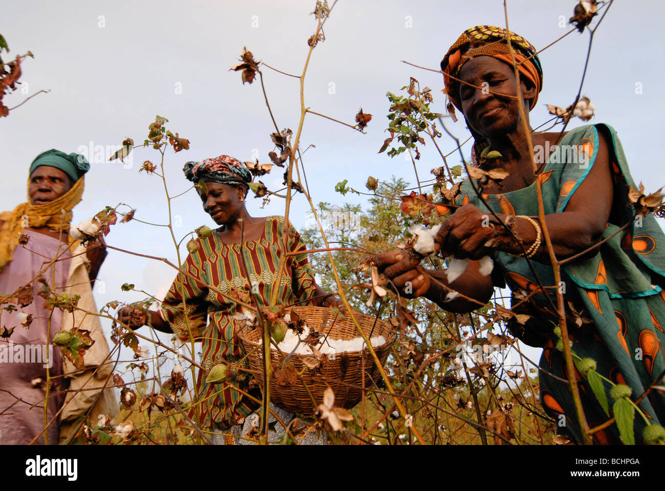 Mali agriculture Banque de photographies et d’images à haute résolution ...